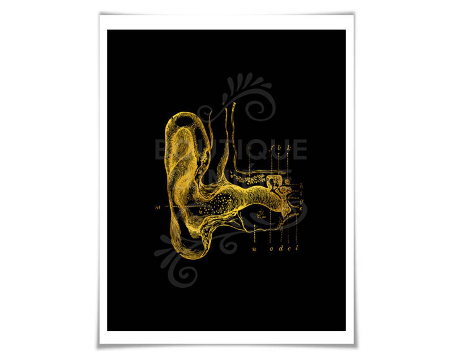 Human Ear Anatomical Gold Foil Art Print - Anatomy Wall Art - Medical ...