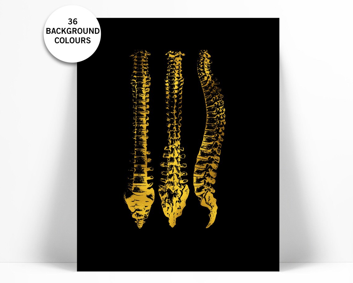 Human Spine Anatomical Gold Foil Art Print Anatomy Wall Art - Etsy