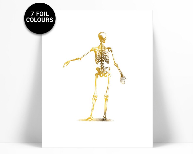 Human Skeleton Anatomical Gold Foil Art Print Real Gold Foil - Etsy
