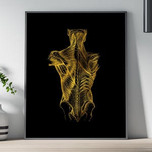 Human Body Anatomical Gold Foil Art Print - Anatomy Wall Art - Back ...
