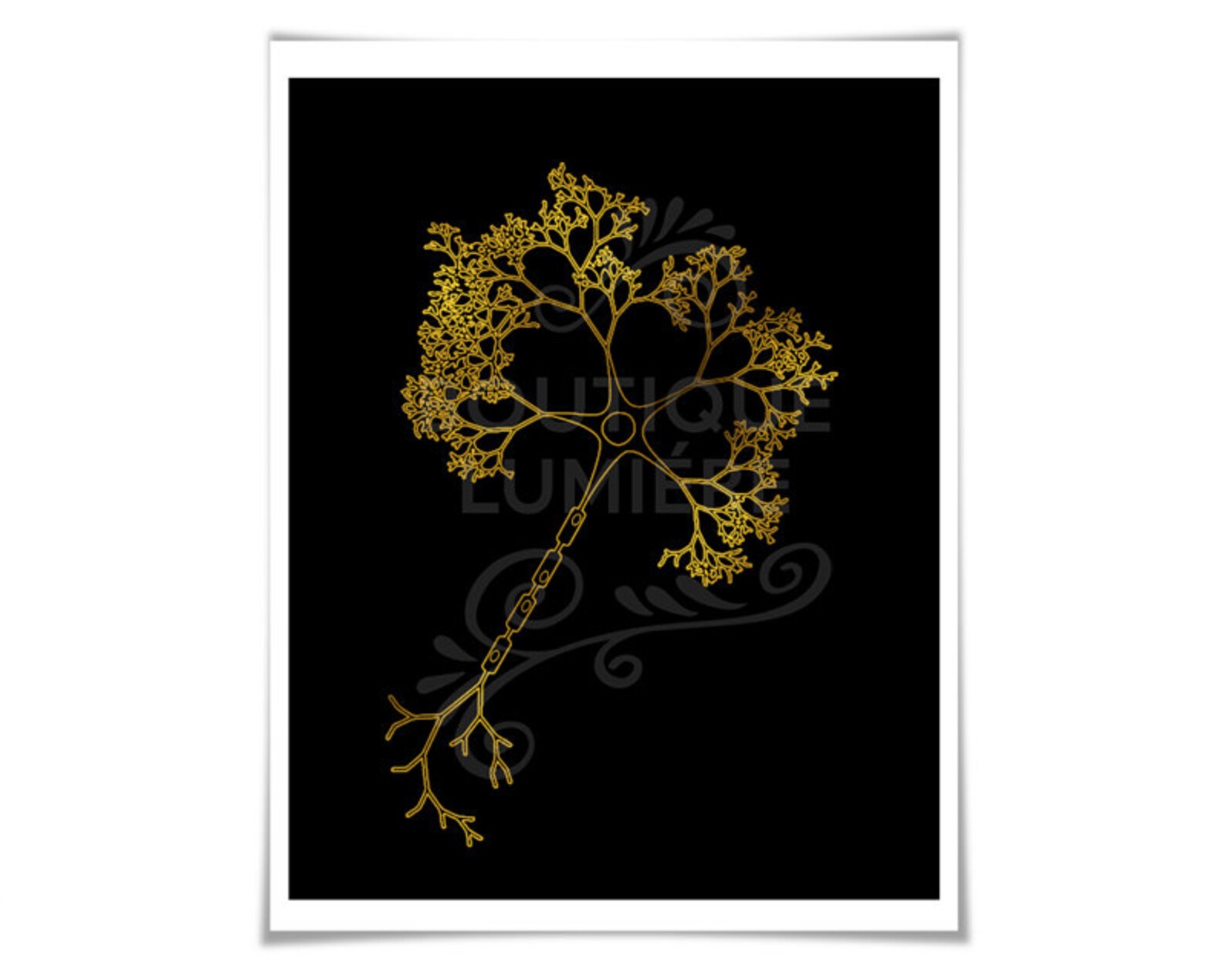 Neurons Gold Foil Art Print - Anatomy Wall Art - Anatomical Nerve Cells ...