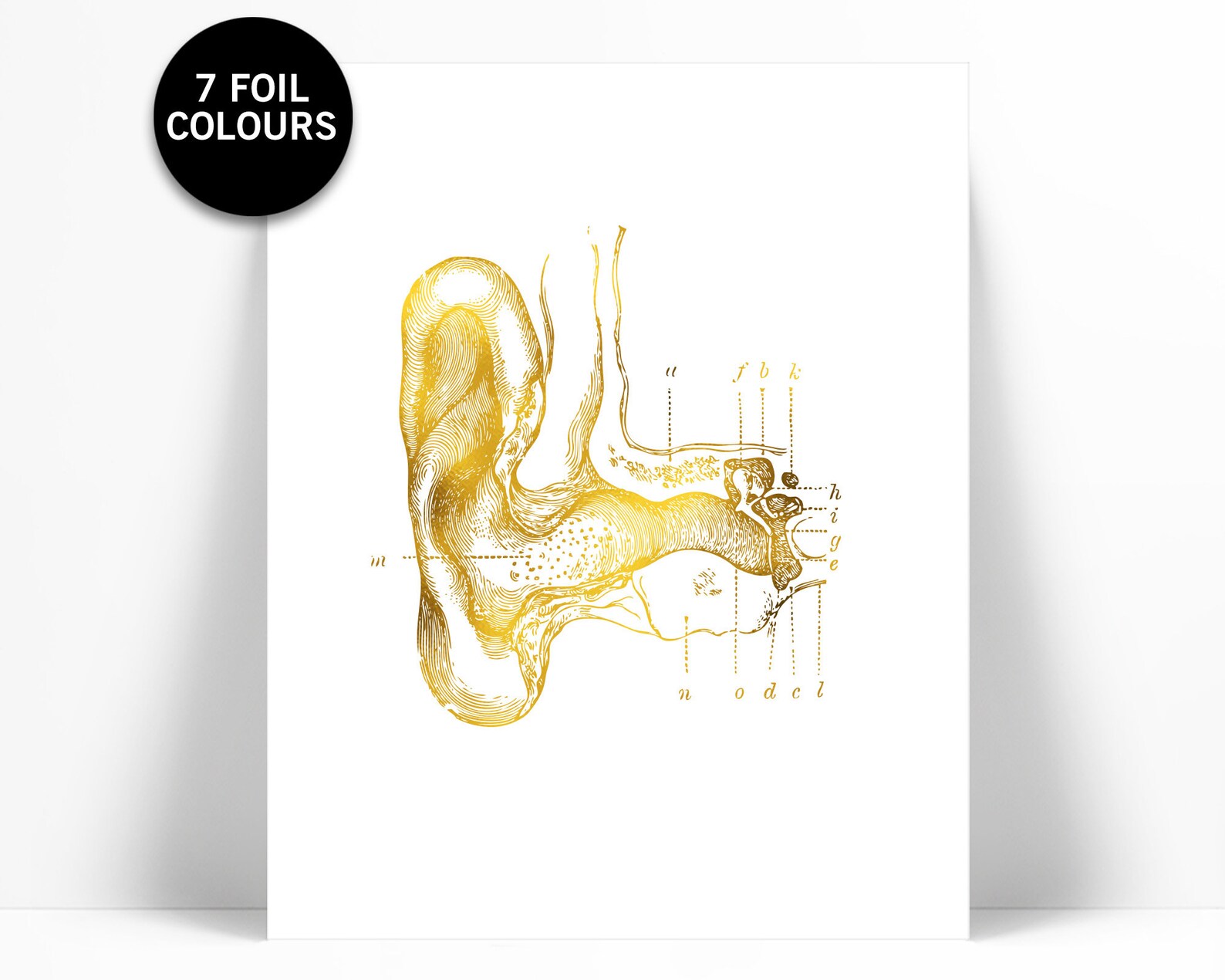 Human Ear Anatomical Gold Foil Art Print Anatomy Wall Art - Etsy
