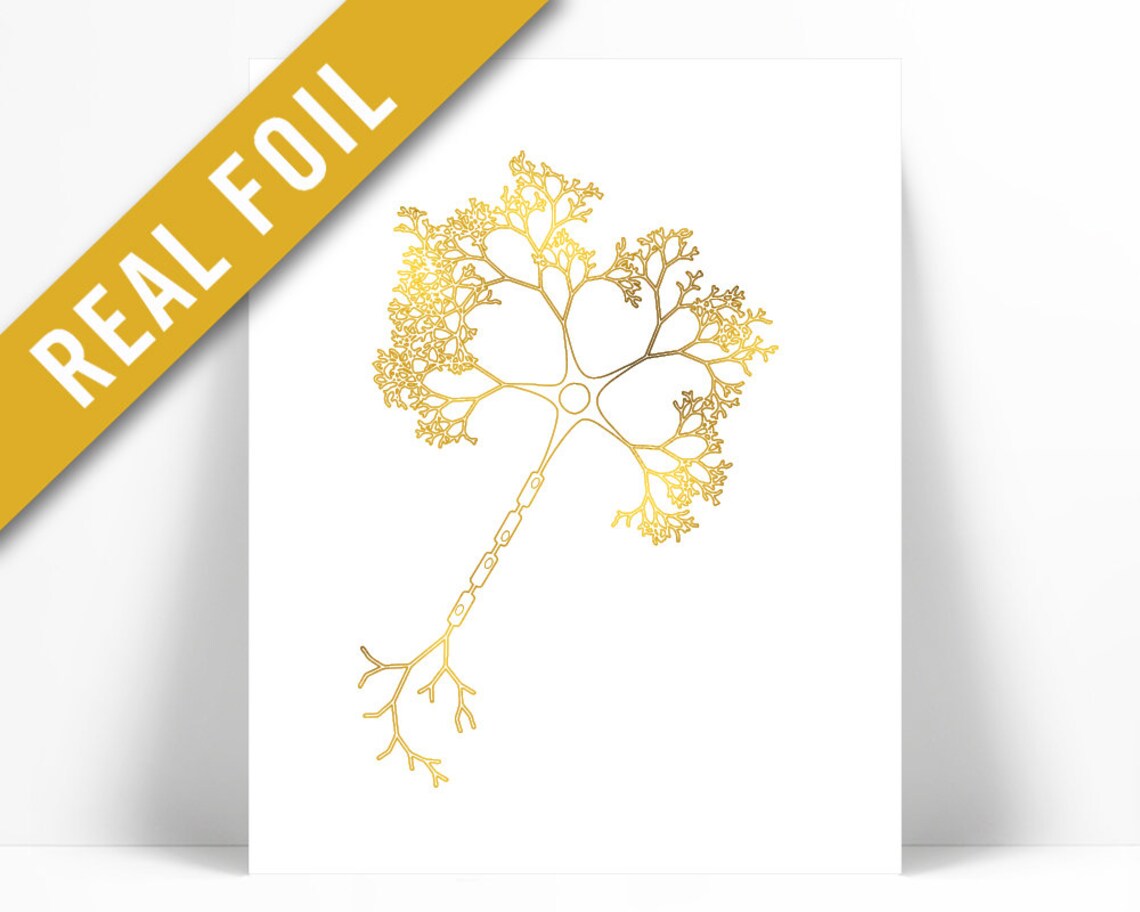 Neurons Gold Foil Art Print Anatomy Wall Art Anatomical - Etsy Canada