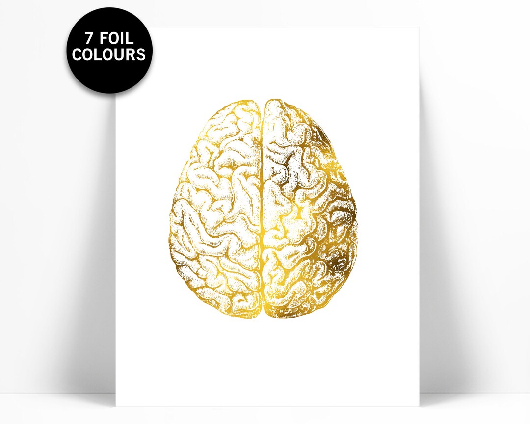 Human Brain Anatomical Real Gold Foil Art Print - Anatomy Wall Art ...