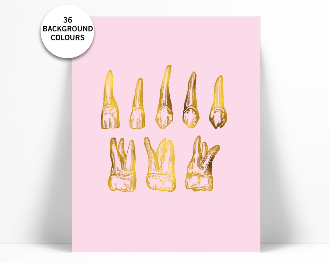 Human Teeth Gold Foil Print - Dental Office Wall Art - Anatomy Wall Art ...