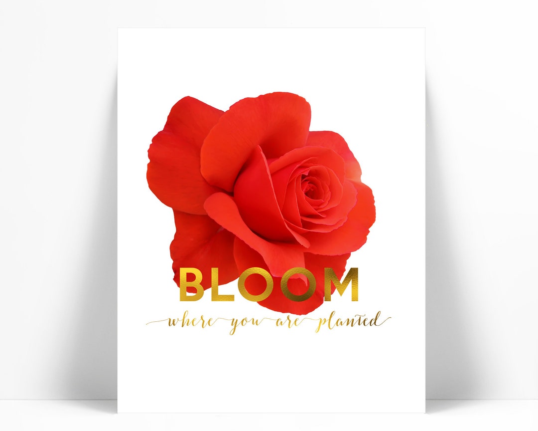 Bloom Where You Are Planted - Gold Foil Print - Flower Poster - Floral ...