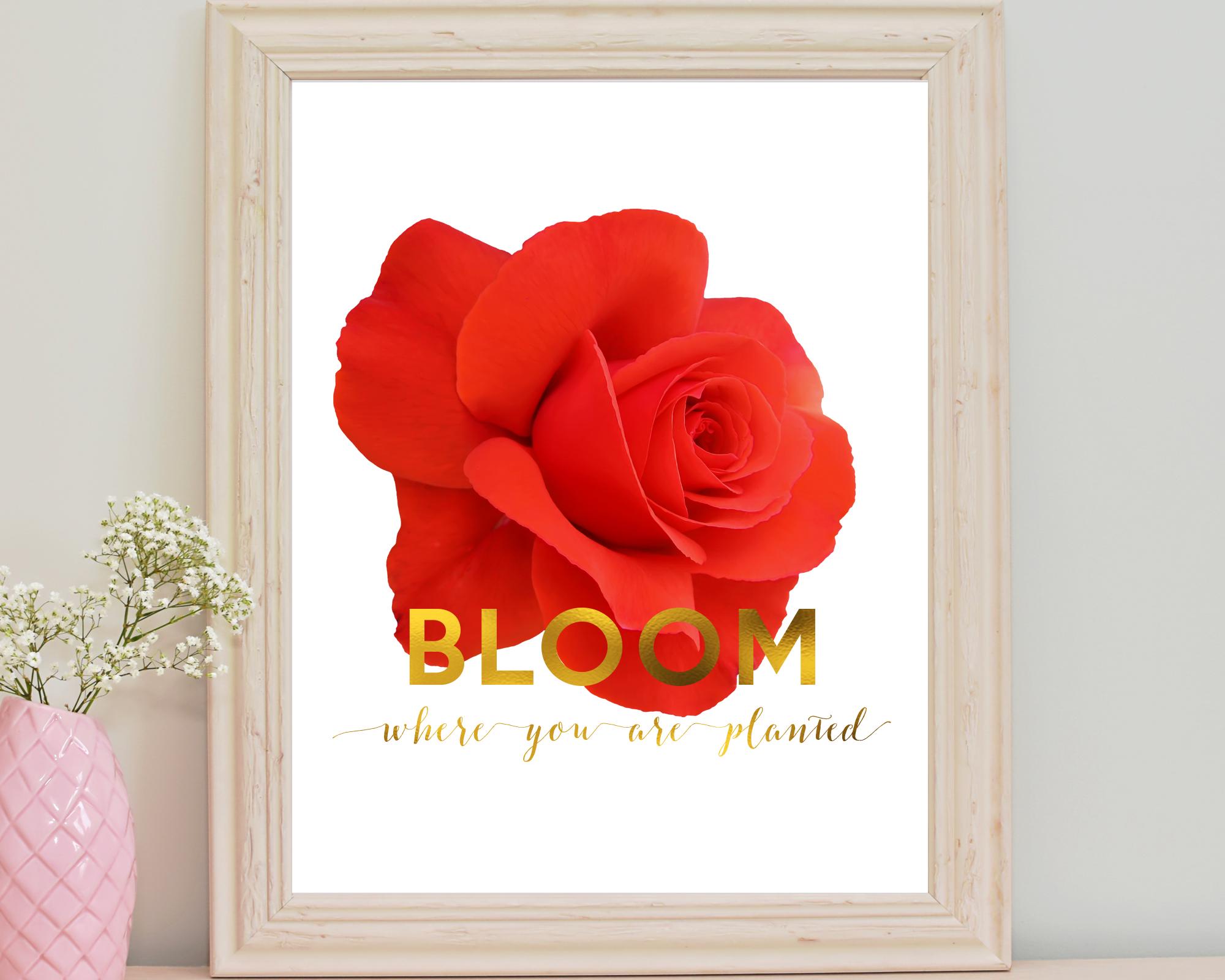 Bloom Where You Are Planted - Gold Foil Print - Flower Poster - Floral ...