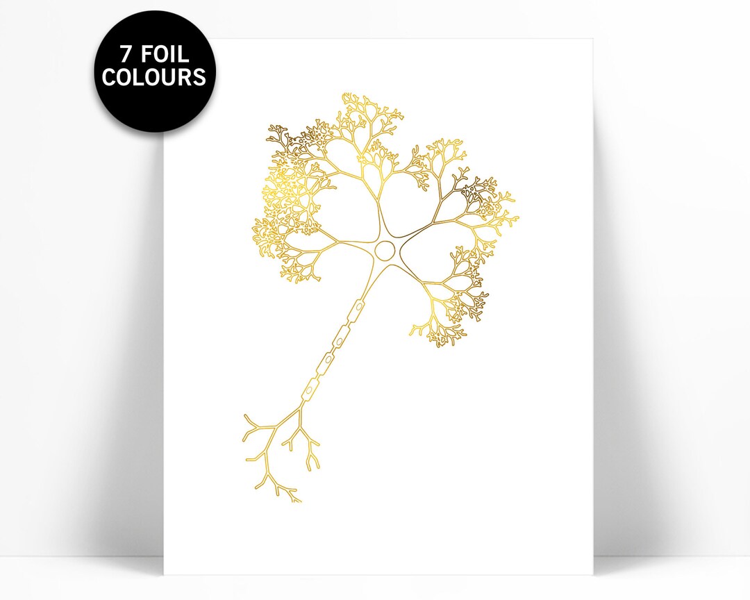 Neurons Gold Foil Art Print - Anatomy Wall Art - Anatomical Nerve Cells ...