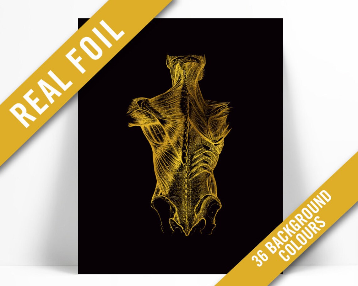 Human Body Anatomical Gold Foil Art Print Anatomy Wall Art | Etsy Canada
