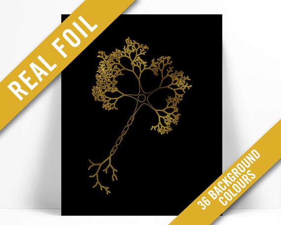 Neurons Gold Foil Art Print Anatomy Wall Art Anatomical | Etsy