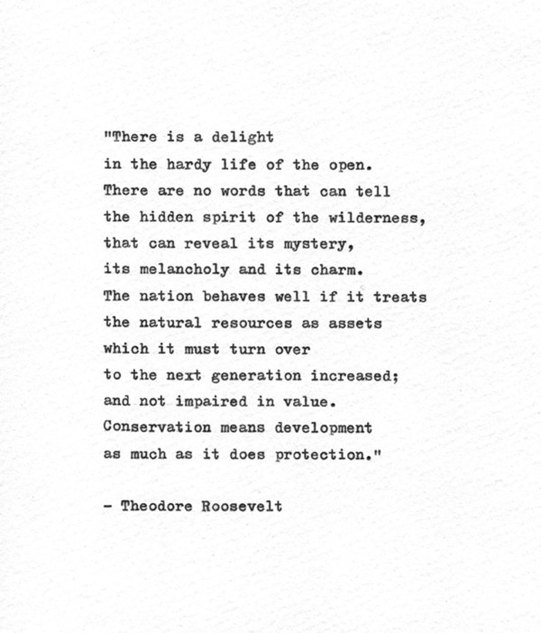 Theodore Roosevelt 'the Hardy Life' Hand Typed Print Conservation Quote ...