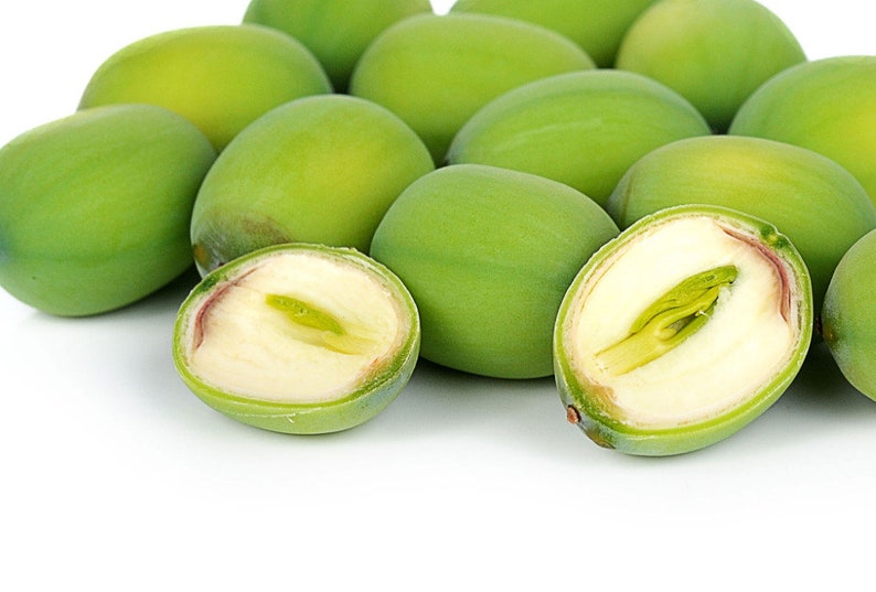 Lotus Plumule Plumula Nelumbinis Lian Zi Xin Sleep Aid Antioxidant Anti ...