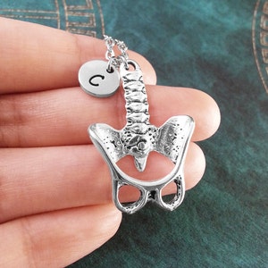 Pelvic Bone Keychain, Pelvis Charm, Personalized Key Ring, Medical ...