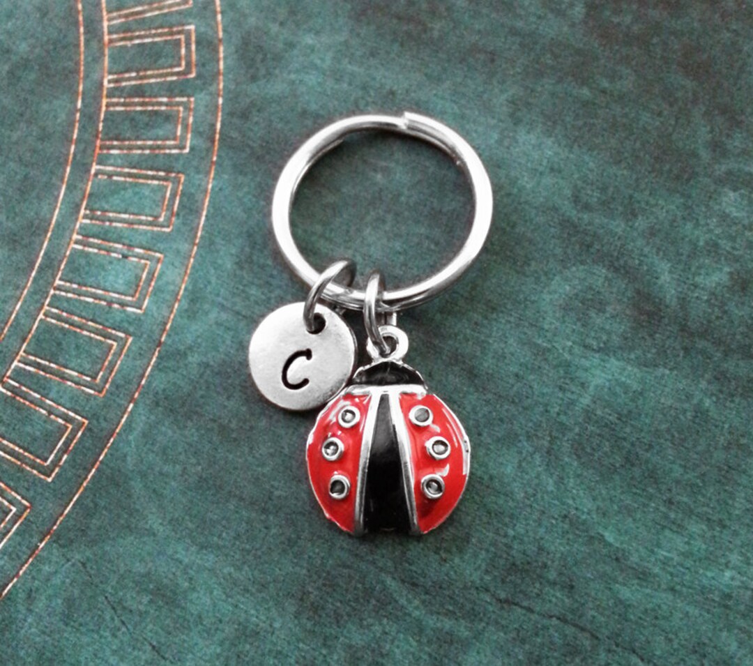 Ladybug Keychain, SMALL Red Lady Bug Keyring, Personalized Keychain ...