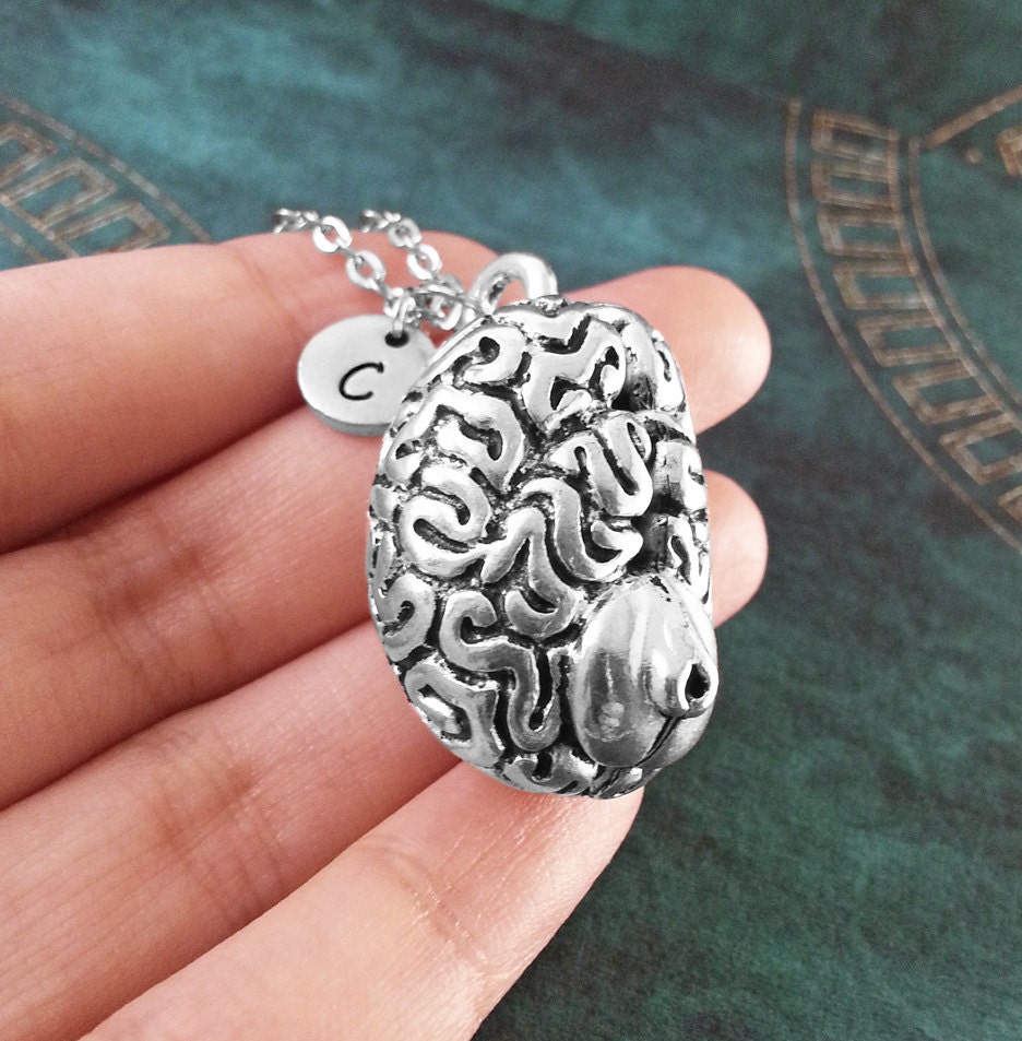 Anatomical Brain Keychain LARGE Human Brain Charm - Etsy