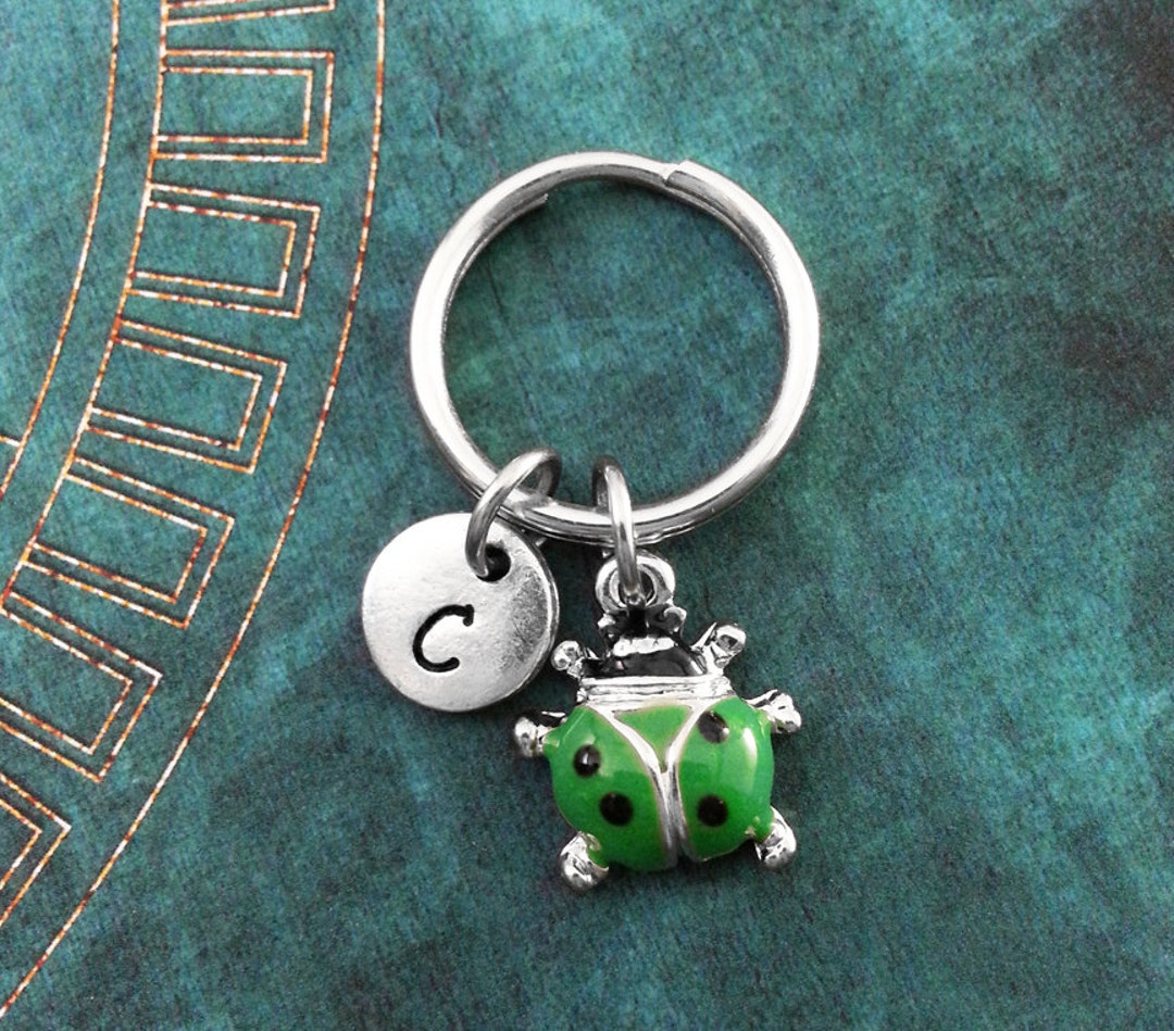 Ladybug Keychain VERY SMALL Green Lady Bug Keyring Personalized ...