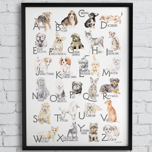 ABC Dog Breeds Alphabet Poster Original Watercolors - Etsy