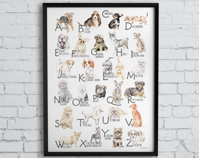 ABC Dog Breeds Alphabet Poster - Original Watercolors - Etsy