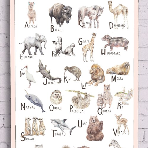 Portuguese Language ABC Animal Alphabet | Etsy