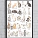ABC Cats Alphabet Poster - Original Watercolors - Etsy