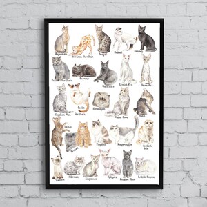 ABC Cats Alphabet Poster - Original Watercolors - Etsy