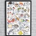 Under the Sea A to Z: ABC Fish Alphabet Poster - Original Watercolors ...