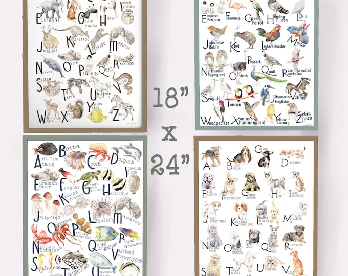 ABC Animal Alphabet Posters 18 X 24 - Choose From Six - Original ...