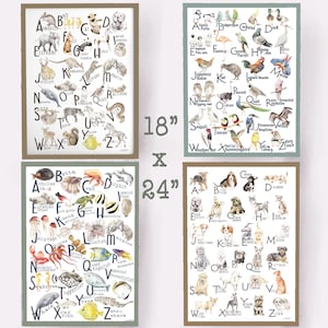 ABC Animal Alphabet Posters 18 X 24 - Choose From Six - Original ...