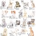 ABC Dog Breeds Alphabet Poster - Original Watercolors - Etsy