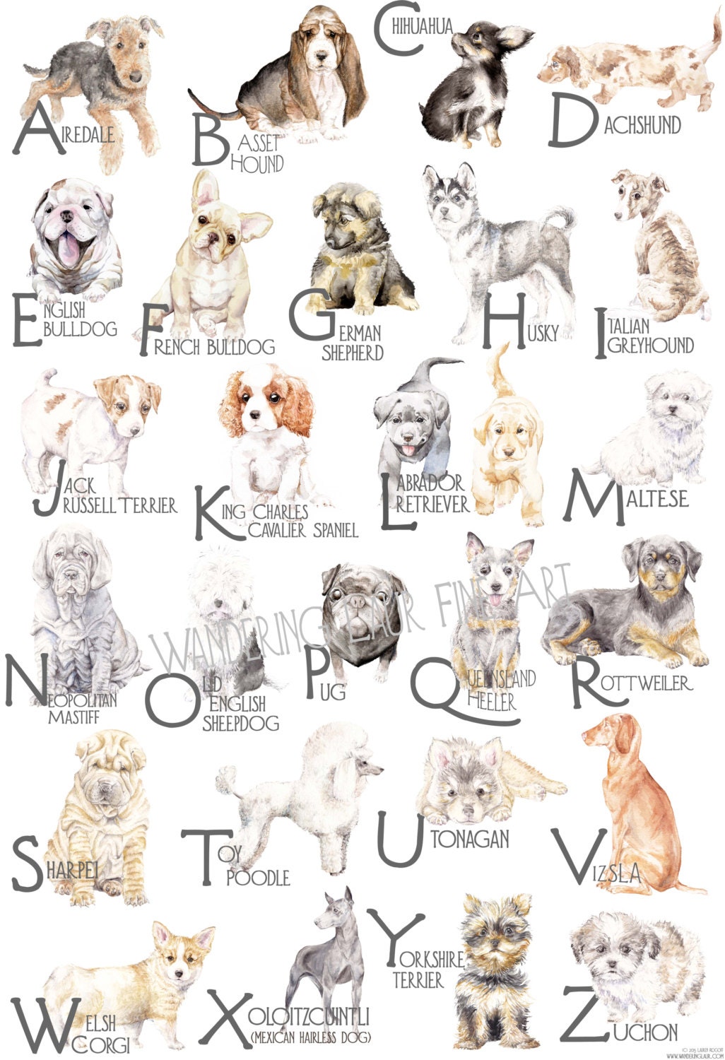 ABC Dog Breeds Alphabet Poster Original Watercolors | Etsy
