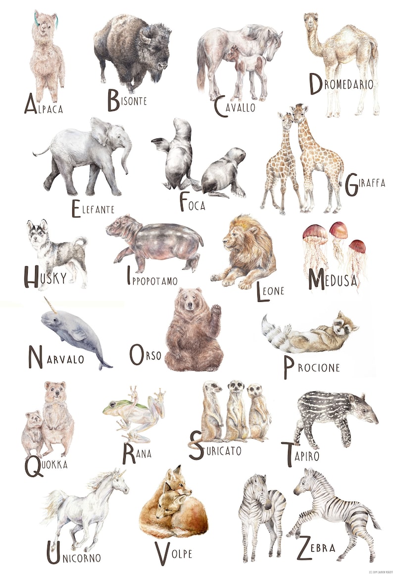 Italian Language ABC Animal Alphabet | Etsy