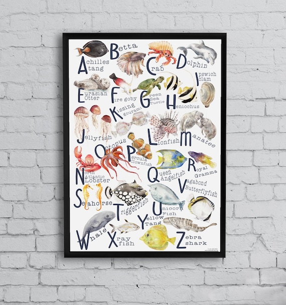 Under the Sea A to Z: ABC Fish Alphabet Poster Original | Etsy