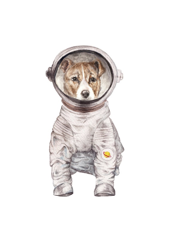 K9 Astronaut