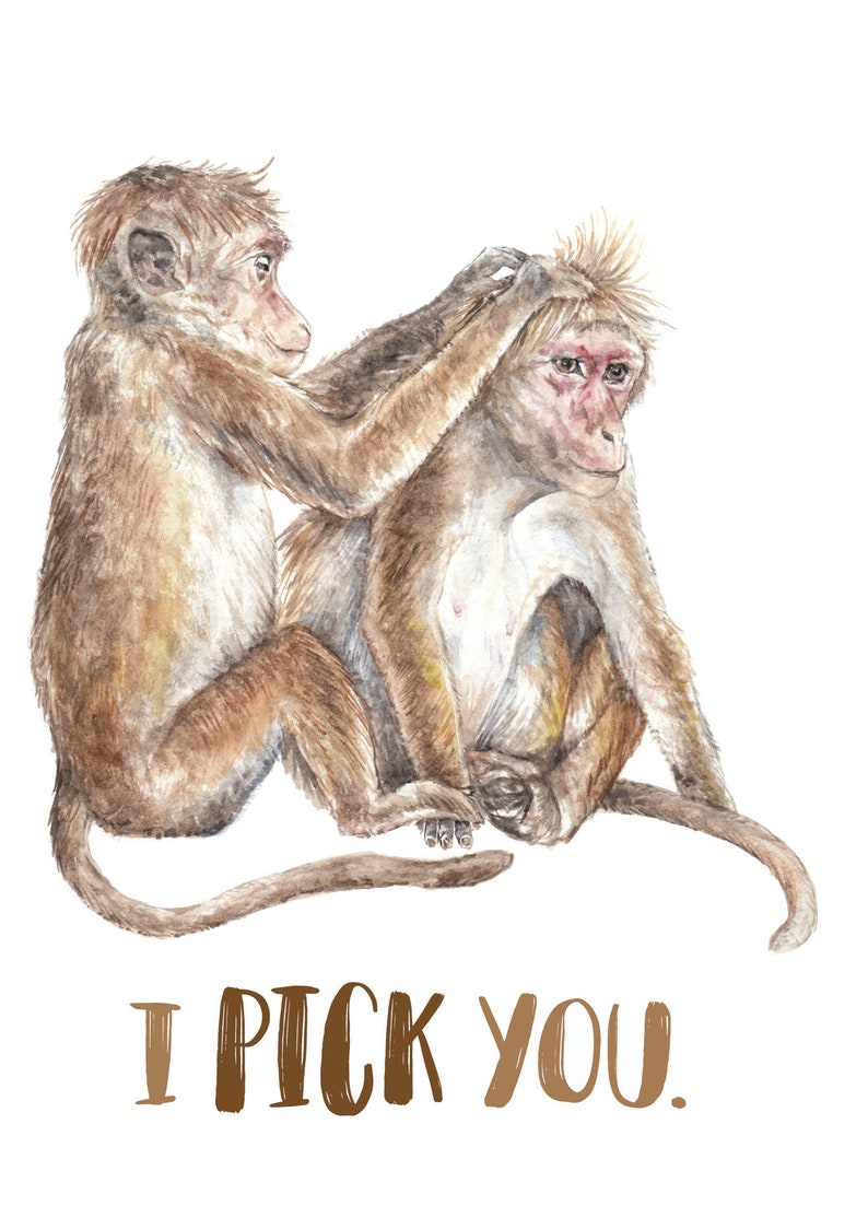 Monkey Love I Pick You Cute Romantic Watercolor Funny Greeting Card - Etsy