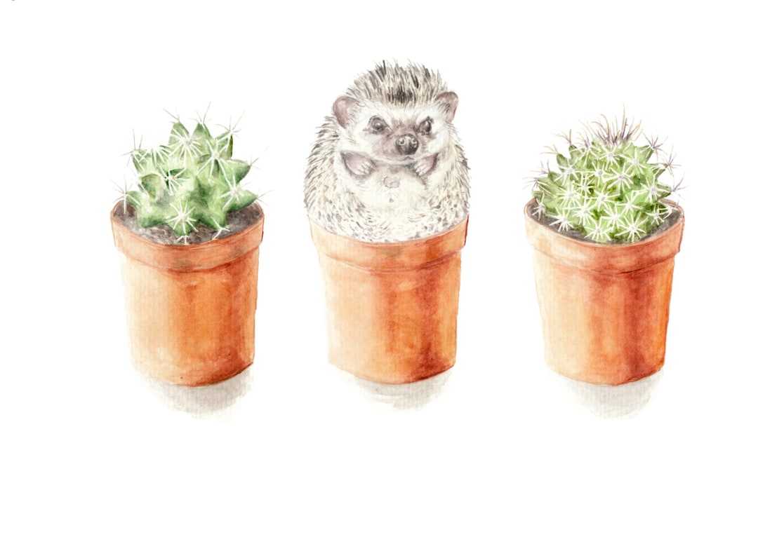 Hedgehog and Cactus Watercolor Limited Edition Print 8.5x11 Cute Quirky ...