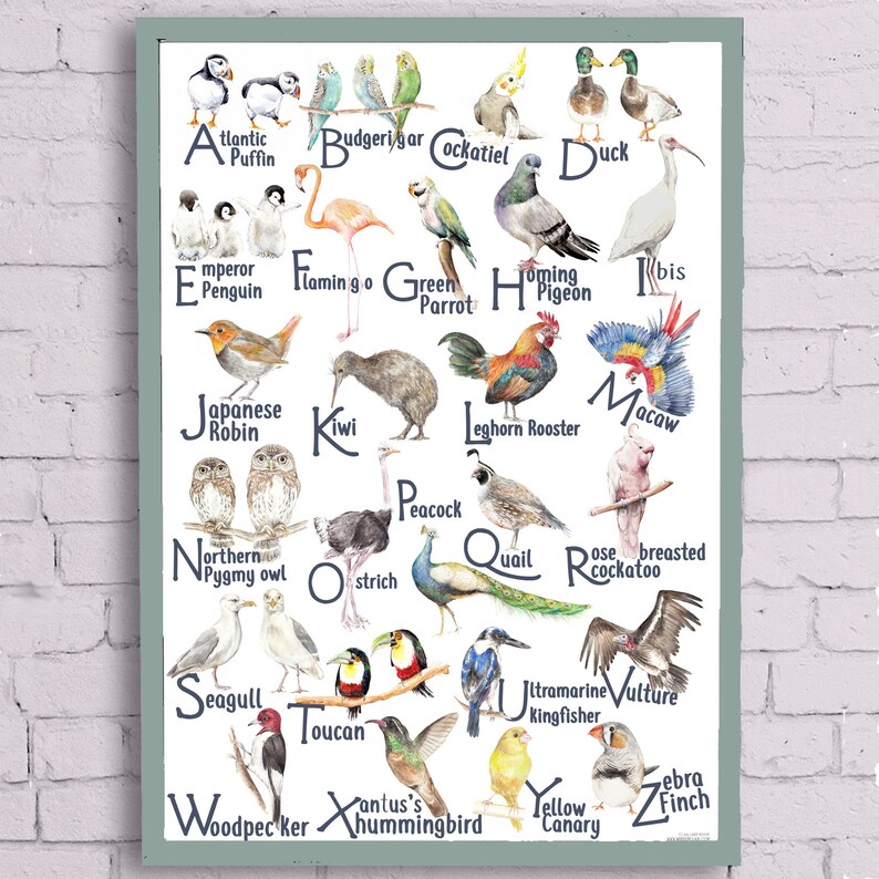 Birds ABC Alphabet Poster Original Watercolor Paintings | Etsy