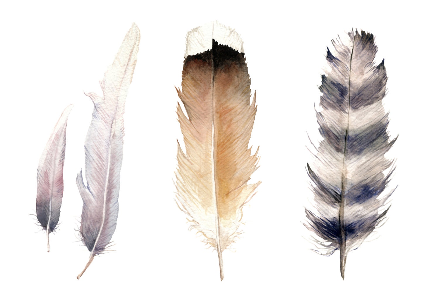 13x19 Watercolor Feather Prints: Choose From Three Designs - Etsy