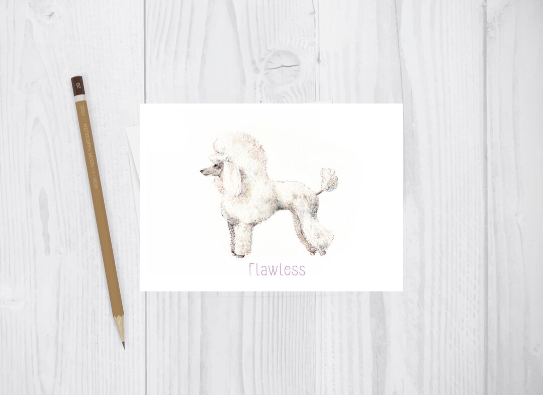 Flawless Poodle Greeting Card Sassy Pop Culture Feminine Dog Card - Etsy