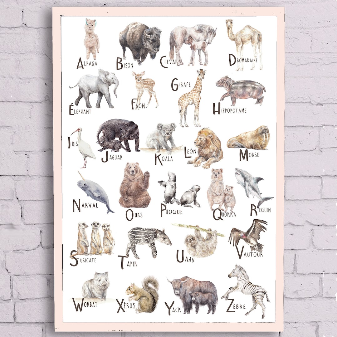 French Language ABC Animal Alphabet Poster - Etsy