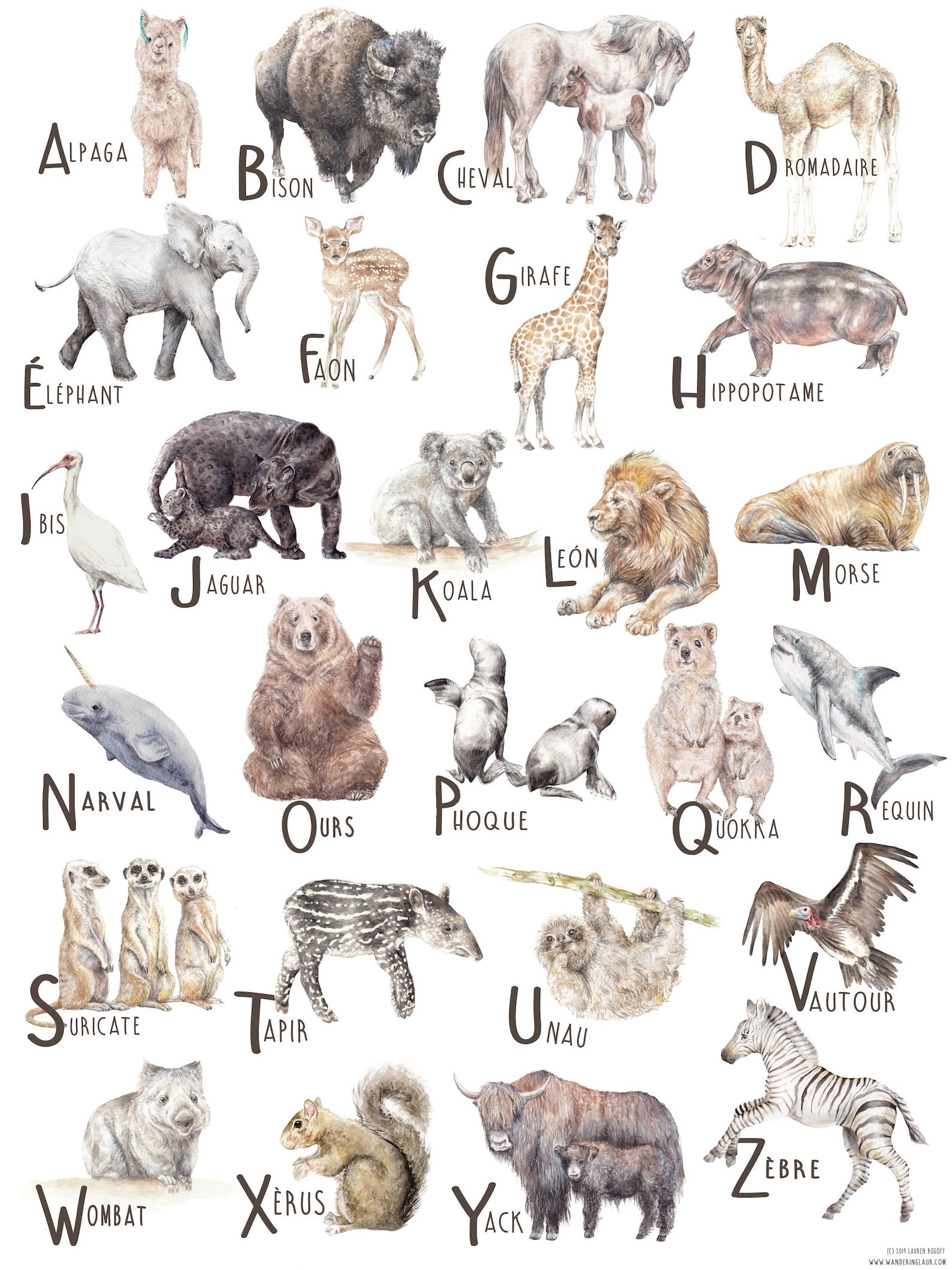 French Language ABC Animal Alphabet Poster | Etsy