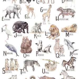 French Language ABC Animal Alphabet Poster - Etsy