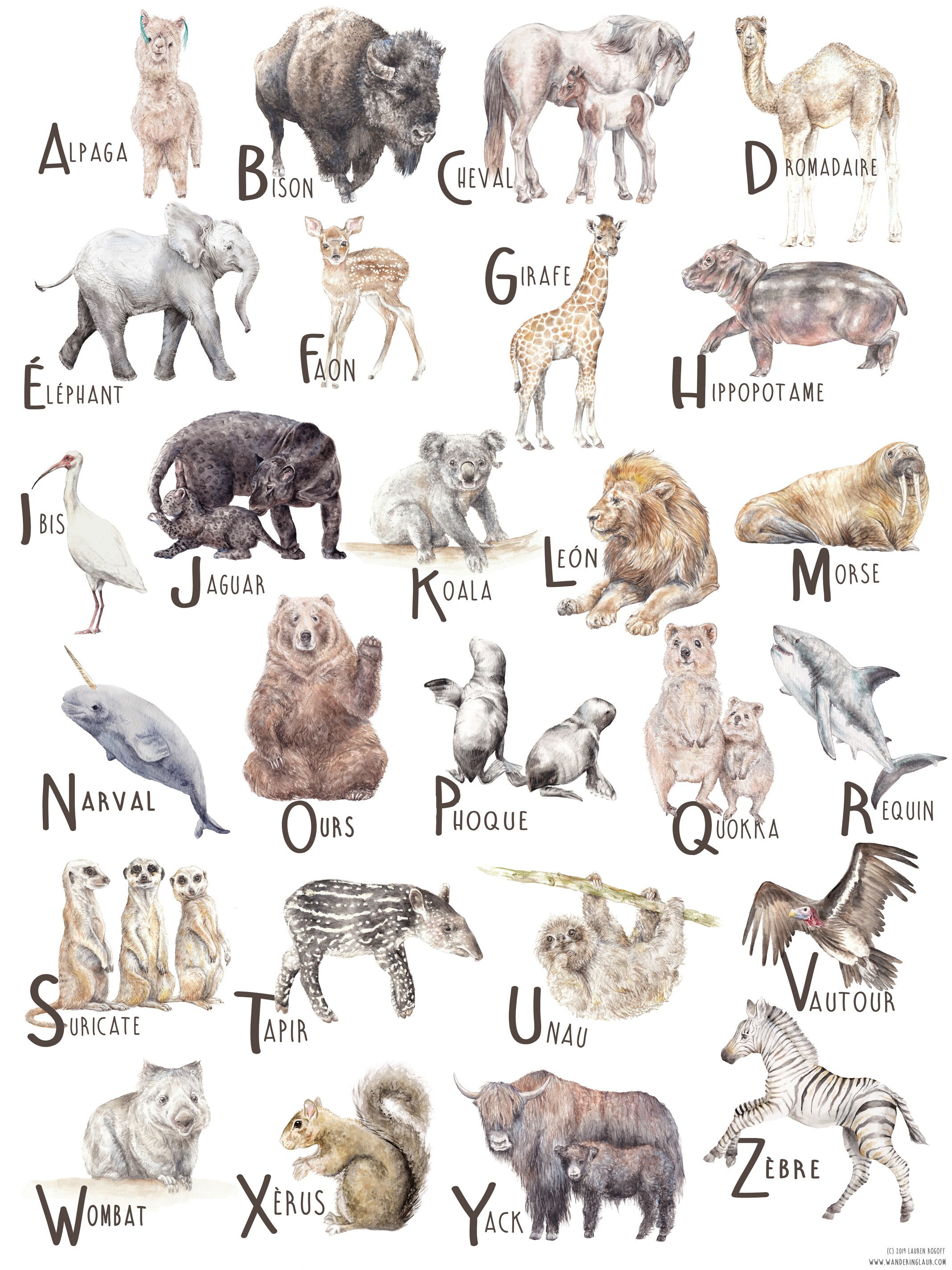 French Language ABC Animal Alphabet Poster | Etsy