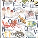 ABC Animal Alphabet Posters 18 X 24 Choose From Six Original ...