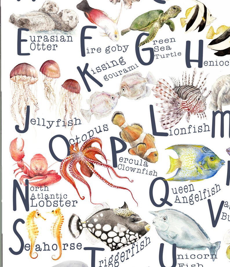 ABC Animal Alphabet Posters 18 X 24 Choose From Six - Etsy