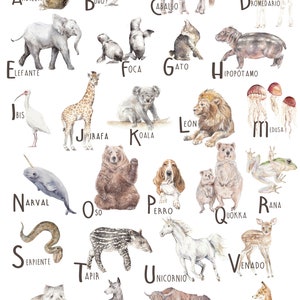 Spanish Language ABC Animal Alphabet - Etsy