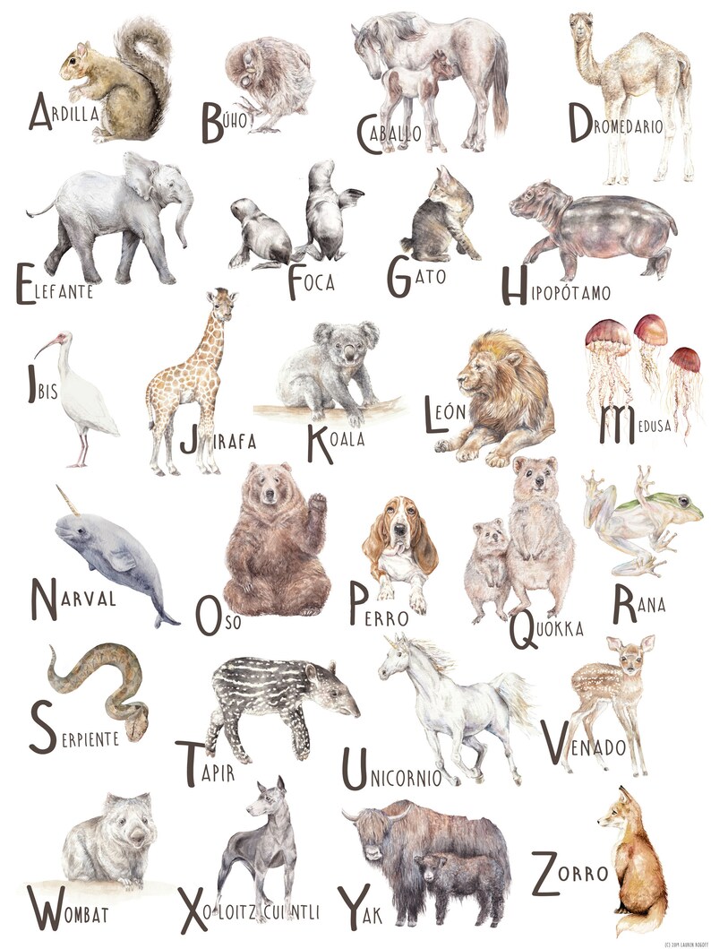 Spanish Language ABC Animal Alphabet - Etsy