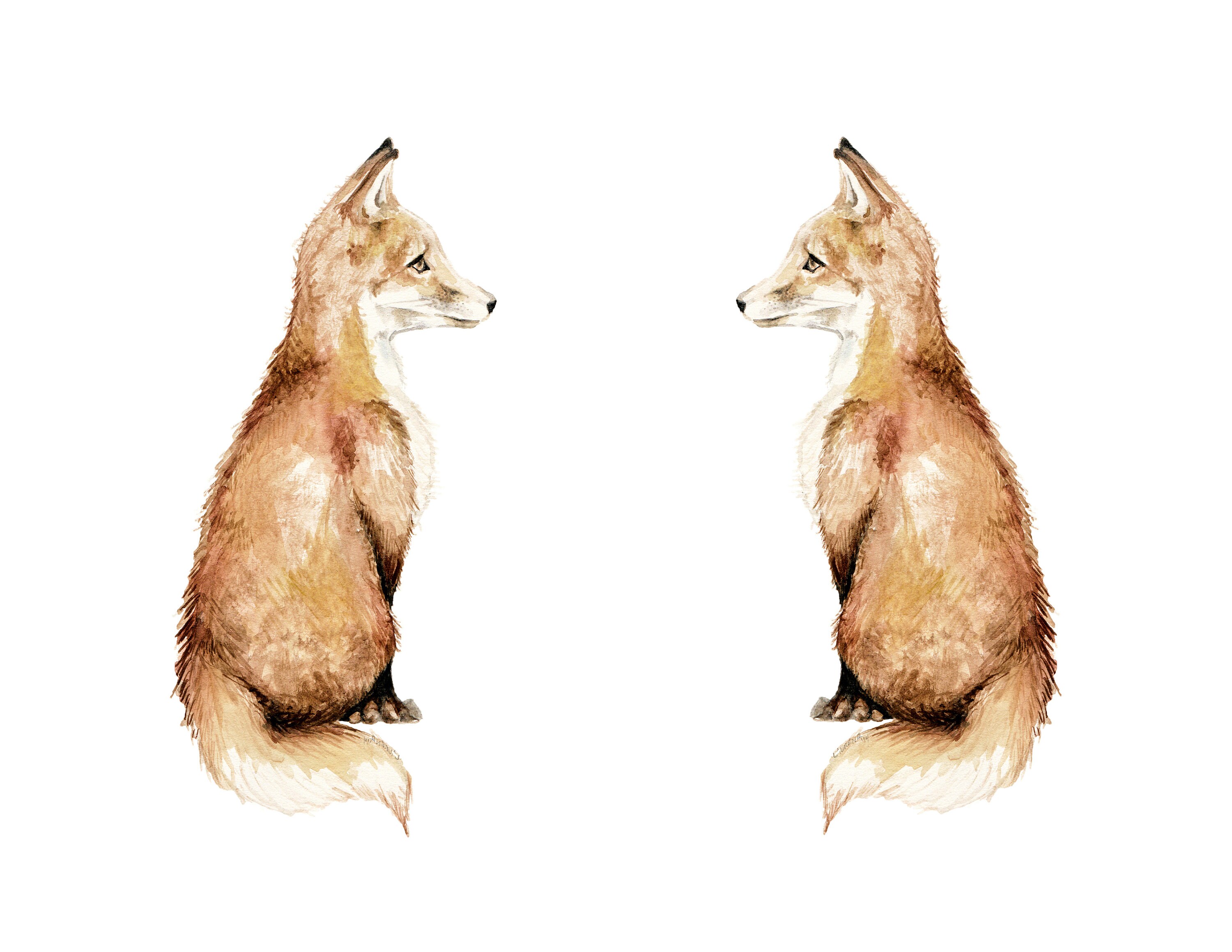 Fox Cubs Cuddling Limited Edition Print 8.5x11 Watercolor - Choose From ...