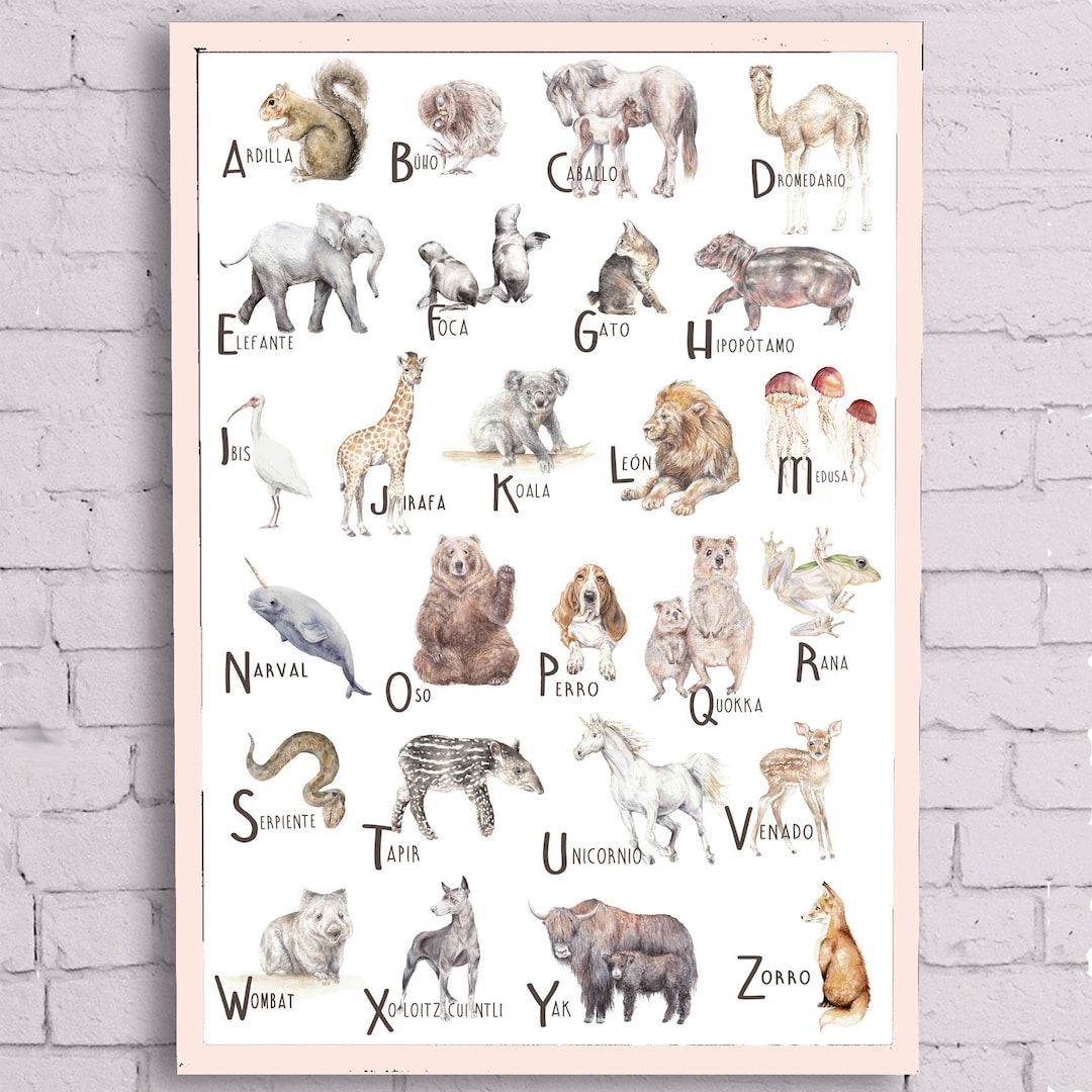 Spanish Language ABC Animal Alphabet - Etsy
