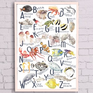 Under the Sea A to Z: ABC Fish Alphabet Poster - Original Watercolors ...