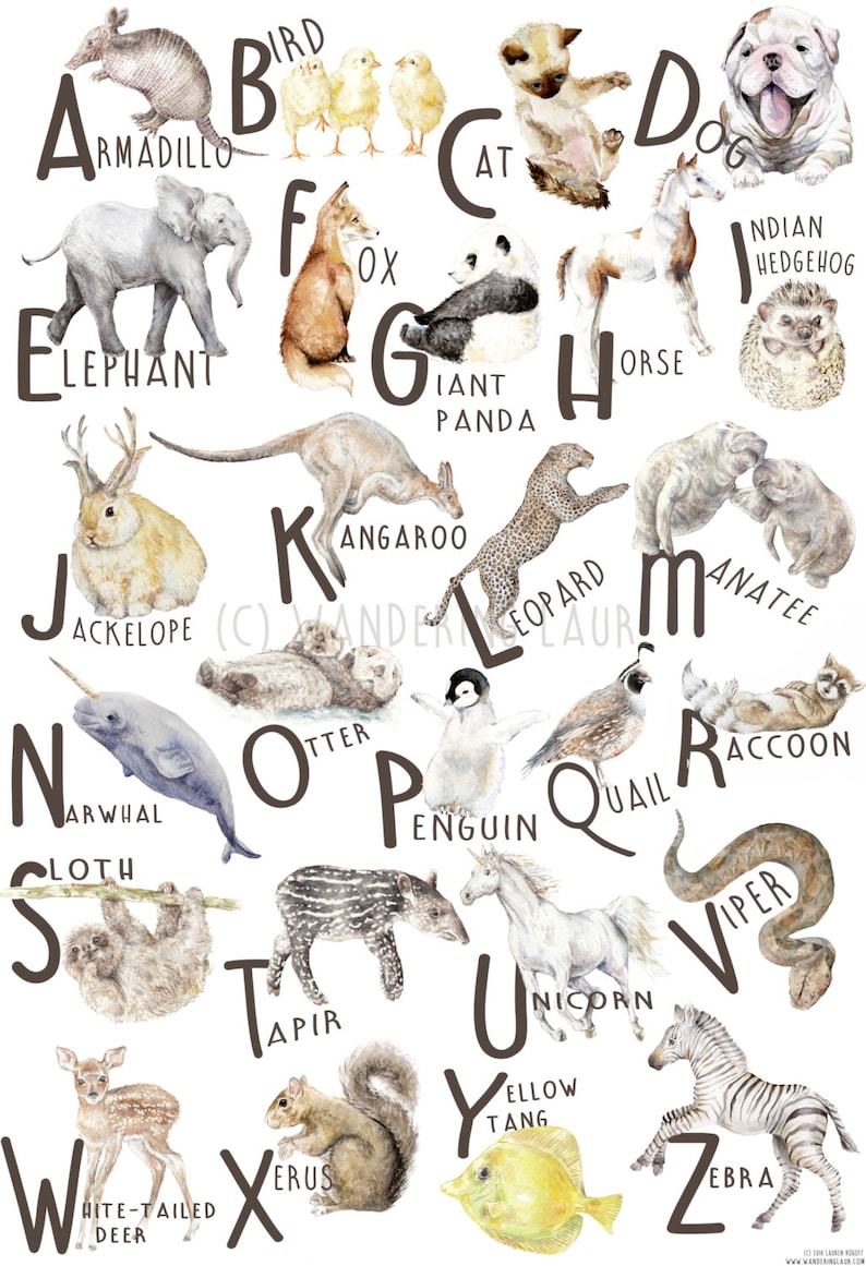 ABC Animal Alphabet Poster Original Watercolors - Etsy